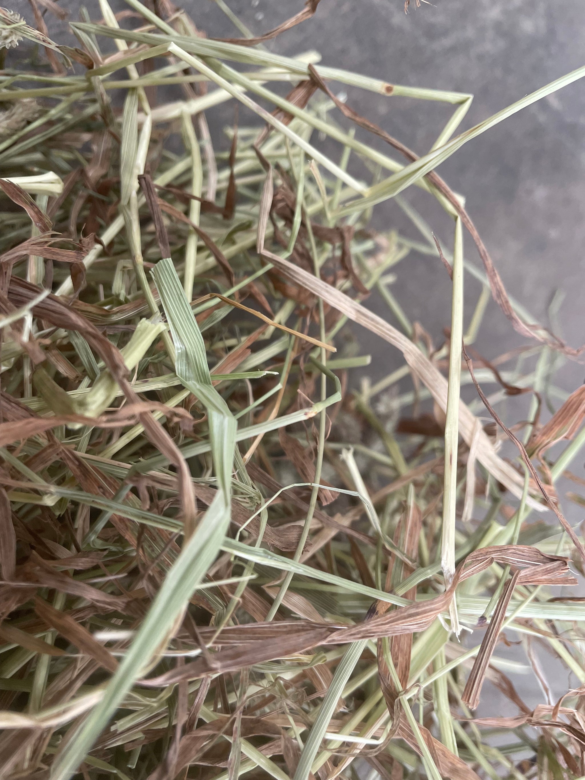 (2024) 8.5kg of Timothy Hay – Timothy Hay | Hay Supplies UK