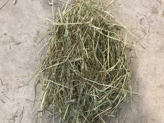 Timothyhay.co.uk - Supplying the UK with Quailty Timothy hay#N ...