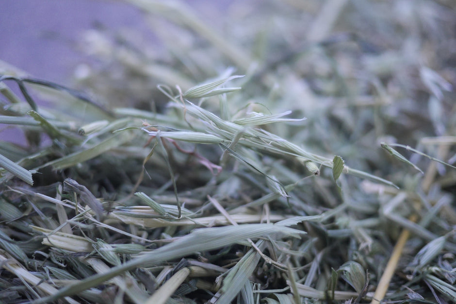 Timothyhay.co.uk - Supplying the UK with Quailty Timothy hay#N ...