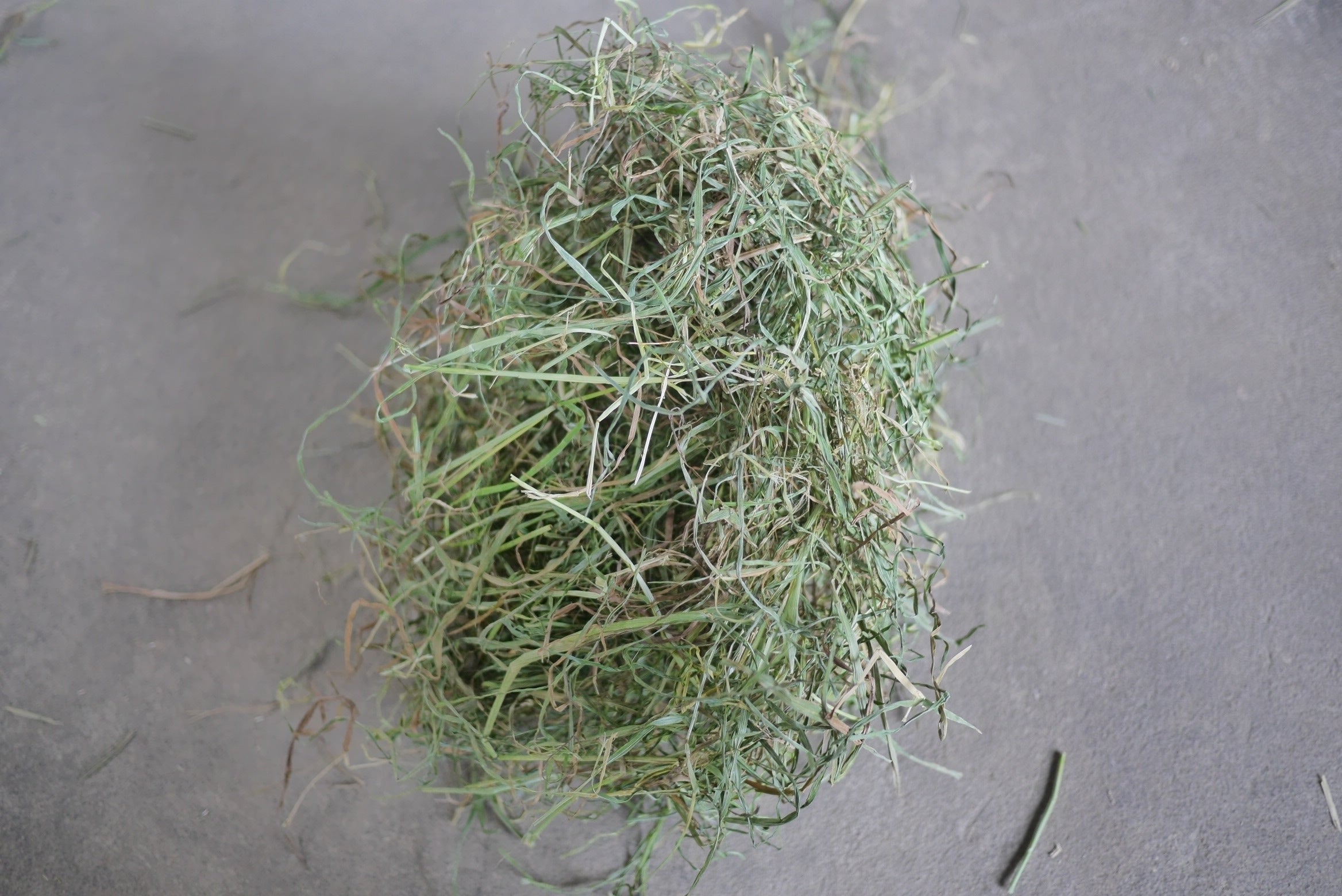 2025 17kg of Soft Timothy Hay – Timothy Hay | Hay Supplies UK